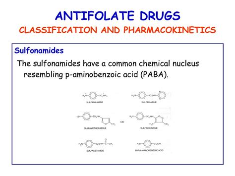 Ppt Antimetabolite Drugs Powerpoint Presentation Free Download Id