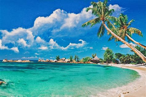 Top 10 Must Visit Beaches In Vietnam Will Fly For Food