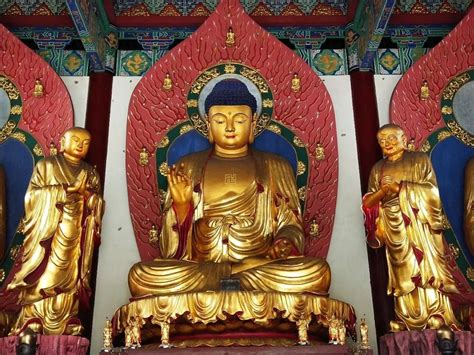 佛陀成道日 腊八施粥暨第十届禅语墨韵书画展 曹王禅寺