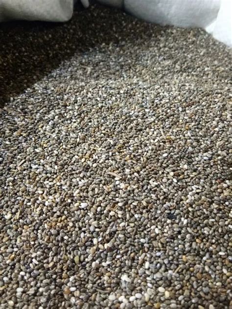 Dried Chia Seed Packaging Type Plastic Bag Packaging Size 40kg At