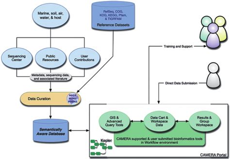 Database And Data Flow Download Scientific Diagram