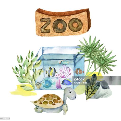 Ilustración De Ilustración De Acuarela De Acuario Y Tortuga En El