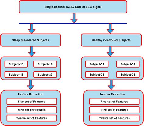 Structural Framework Of The Statistical Feature Extraction Eeg