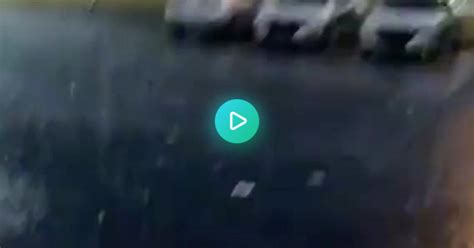 Even The Umbrella Was High Album On Imgur