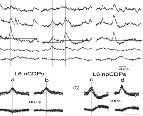 A Recordings That Show Synchronization And High Correlation In