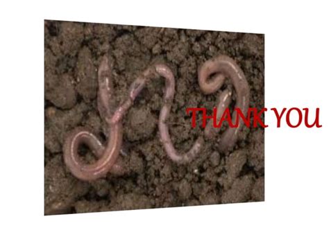 Soil Definition By Various Authors Pptx Geology Science