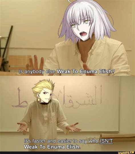 Boi Fatestay Night Amino