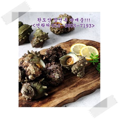 식감 좋은 완도전복을 주문해보세요~ 완도바다의 향을 가득 담은 전복 주문~