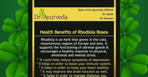 Dr Ayurveda Official Health Benefits Rhodiola Rosea