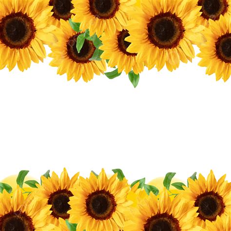 Top 70 Imagen Girasol Png Hd Abzlocal Mx Vrogue Co