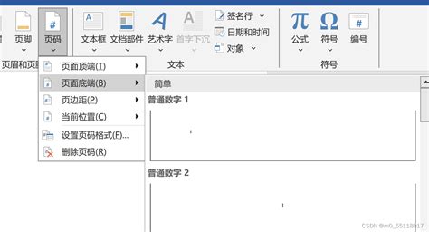 Word中毕业论文页码设置页码格式删除空白页（以及遇到的问题等等）word设置摘要页码 Csdn博客