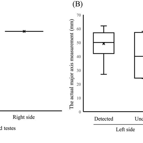A There Was Not A Large Difference In The Major Axis Measurement On Ct