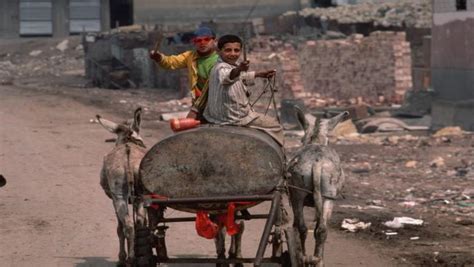 6 أشهر على تعويم الجنيه ماذا حصدت مصر؟