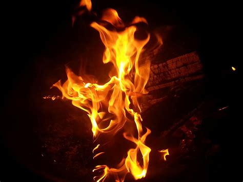 Using Blazor To Build A Client Side Single Page App With Net Core R