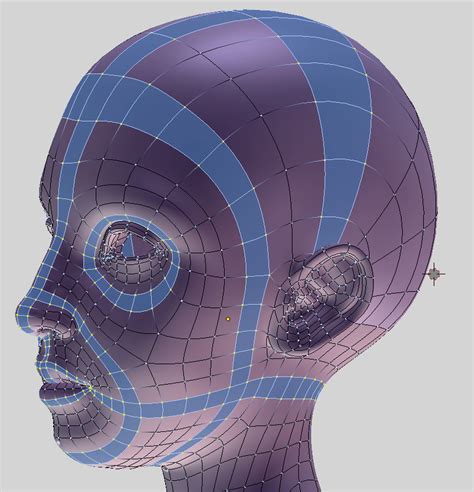 Blenderles Lignes Du Visages — Centre De Ressources Numériques Labomedia