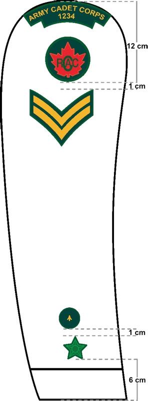 Annex H Insignia Placement Canada Ca