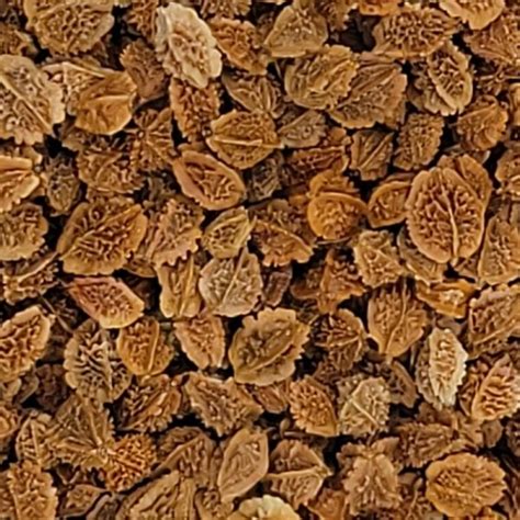 Small Burnet Chesak Seed House