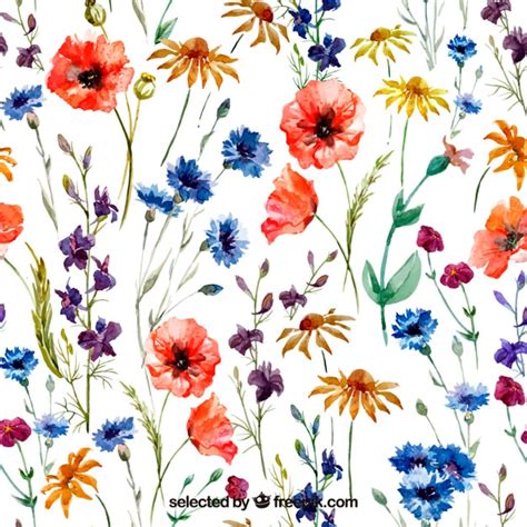 Variety Of Watercolor Flowers Vector Free Download