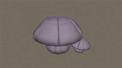 Mushrooom Download Free 3d Model By Fr3duck B4fc095 Sketchfab