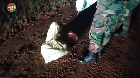 ගොනි දෙකේ දෙන්නයි 😮 Youtube