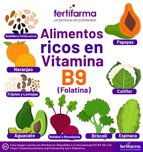 Ácido Fólico Y Fertilidad Femenina