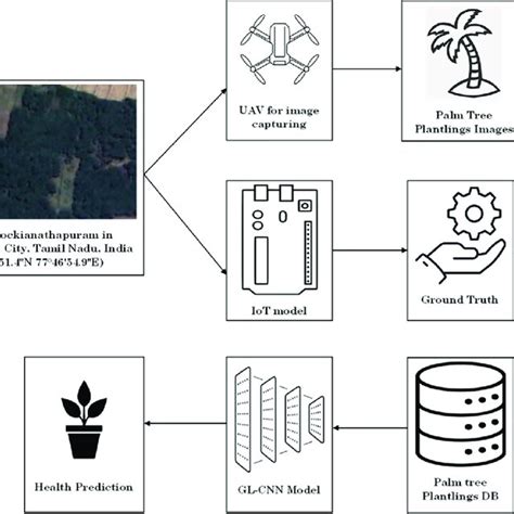 Schematic Workflow Of Proposed Gl Cnn Based Model Download