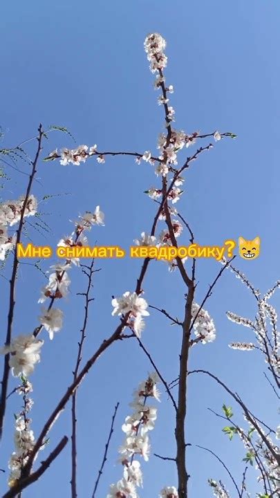 рек весна2024 квадробика квадробикатоп хочуврек Youtube