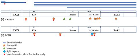 Distribution Of Pathogenic Variants Detected Along The Crebbp A And