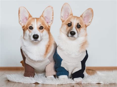And Apis The Dynamic Duo Of The Web By Abraham Ahn Medium