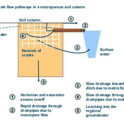 1 Processes Affecting The Fate Of Pesticides On Plants Download