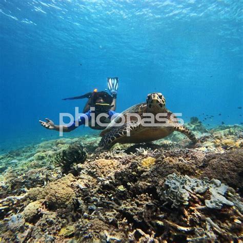 단독투어 세부출발 피코패스