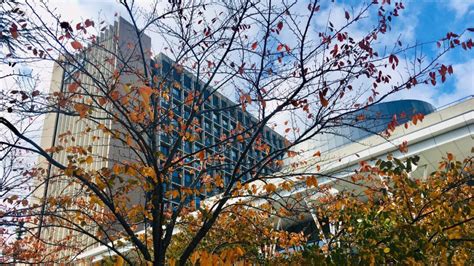 明治大学総合数理学部の入試情報・偏差値・進路・評判まとめ Aoi