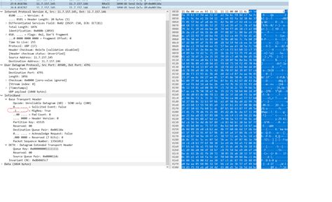 Trouble On ConnectX5 RoCE V2 On Linux Programming InfiniBand VPI