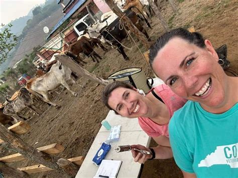 Jessica Taylor Dvm Ffc On Linkedin Mentalhealth