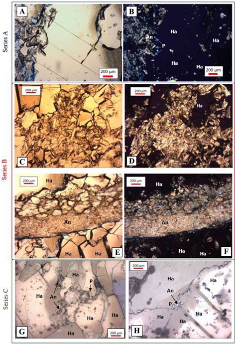 Microphotographs Of Series A A B Series B C F And Series C G Download Scientific