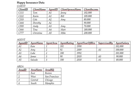 Solved Happy Insurance Observe The Happy Insurance Database