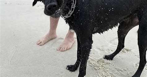 I Interrupt Your Regularly Scheduled Programming To Bring You