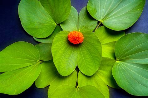 Premium Photo Indian Festival Dussehra Green Leaf Dasra In Marathi