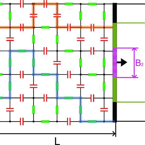 A Lattice Network Containing W × L 5 × 5 Randomly Distributed