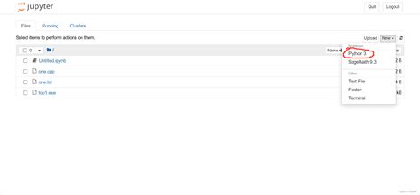 Sagemath的新手保姆使用教程 Csdn博客