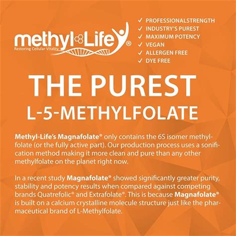 What Is L Methylfolate 5 Mthf