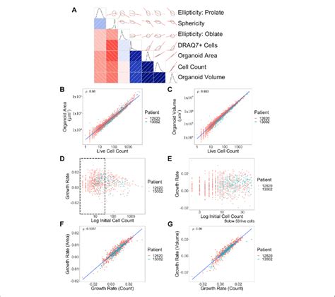 Correlation Of Multiple Measurements From 3d Organoid Imaging And Download Scientific Diagram