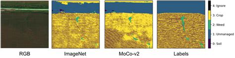 A Sample Output On The Fine Grained Segmentation Task Using Download Scientific Diagram