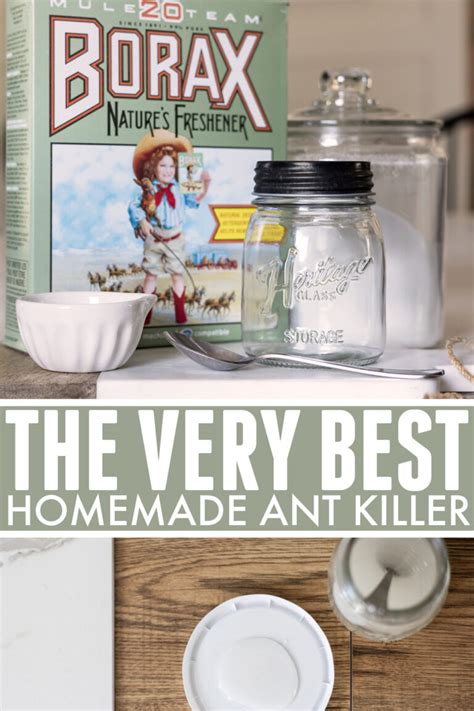 The Very Best Homemade Ant Killer The Creek Line House