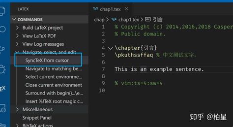 Vs Code Latex 知乎