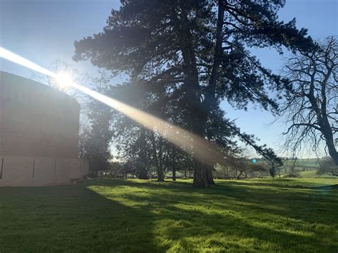 Alison Tolson Alisontolson Twitter