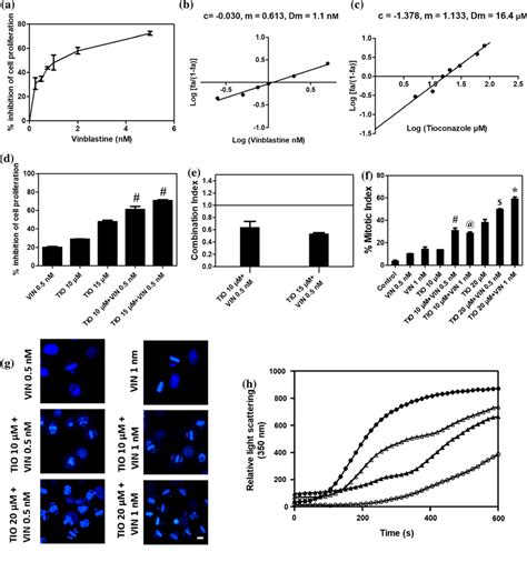 Tioconazole And Vinblastine Synergistically Induced Cytotoxicity In Download Scientific Diagram