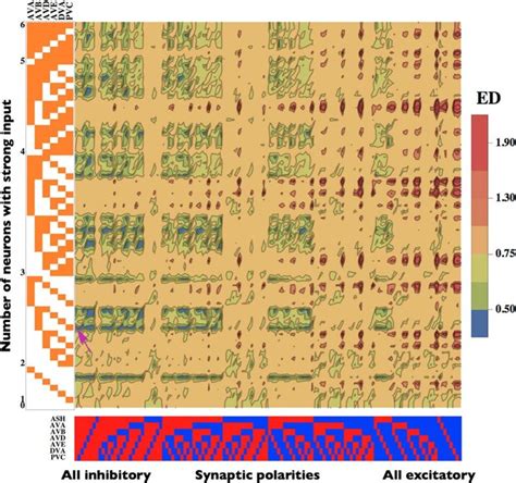 Dependence Of The Euclidean Distance Ed On The Patterns Of Synaptic Download Scientific