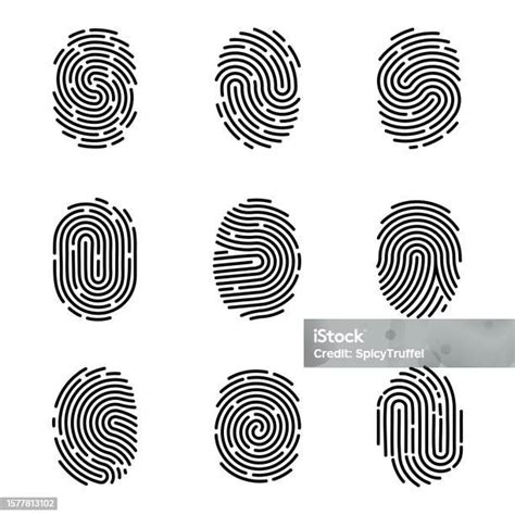 엄지 손가락 지문 아이콘에 액세스합니다 집게 손가락 각인 Id 로고 Id 검색 지문 및 지문 생체 인식 라인 터치 패턴 벡터 격리 기호 집합 지문에 대한 스톡 벡터 아트 및