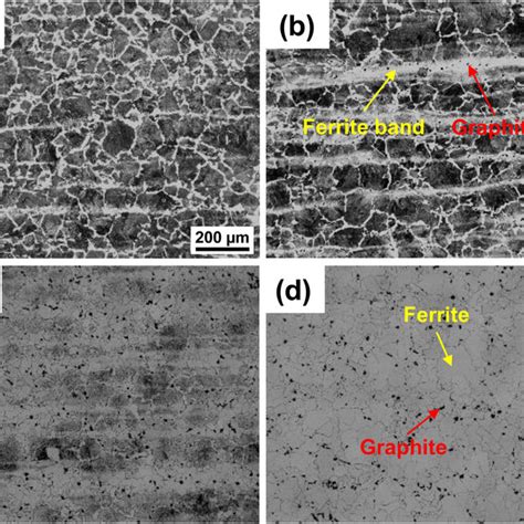 Graphite Analyses Of Base Steel Graphitized At 700 • C For 2 H A